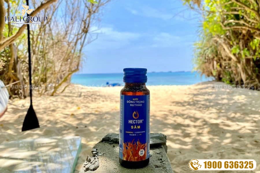Những điều cần biết về Hector Sâm trên toàn quốc - Haligroup.com.vn